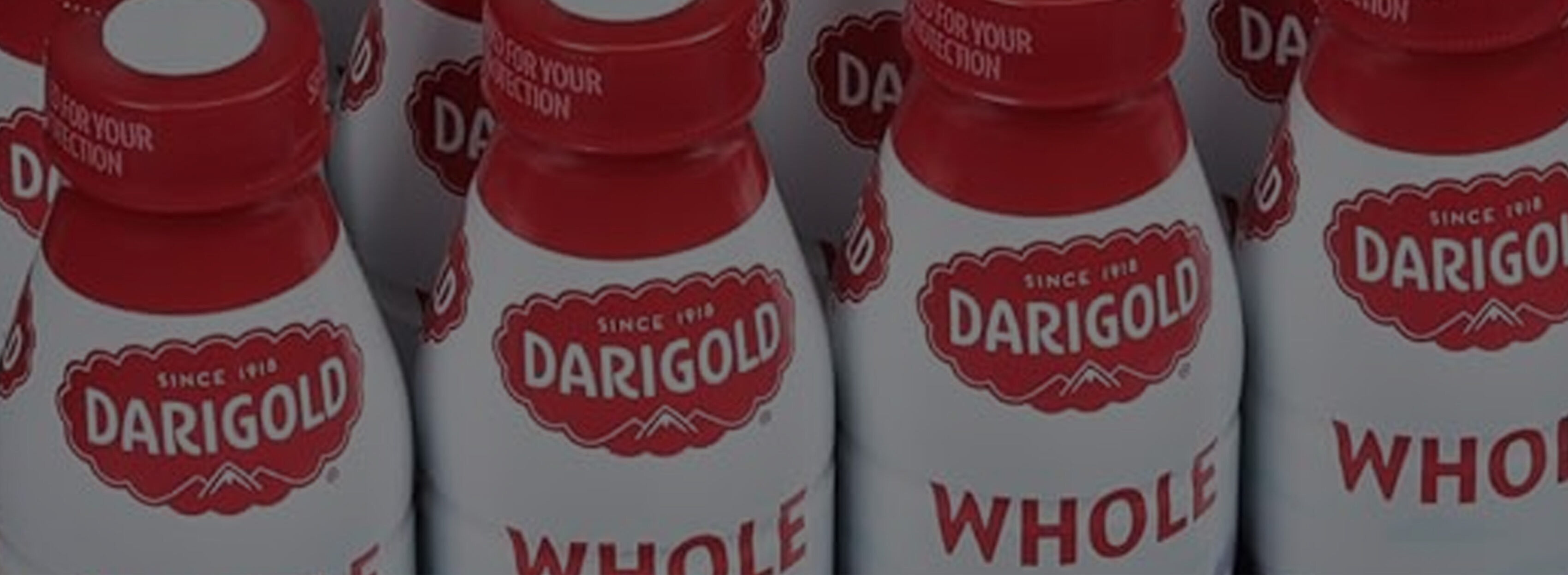 Home - Darigold Philippines